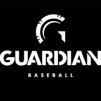 Collabs – Guardian Baseball